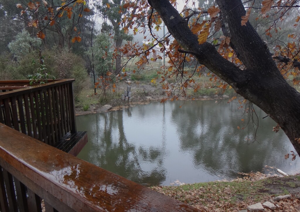 One of Errol's favourite spots #1 by Rob Z · 365 Project