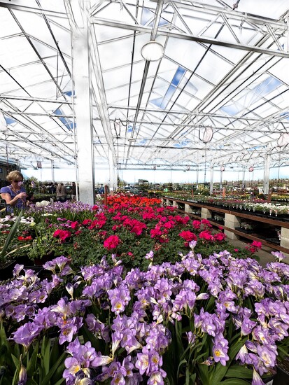 IColorama Class #2 by Shutterbug · 365 Project