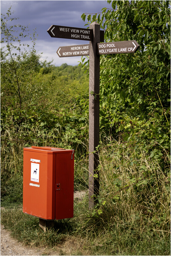 Which Way Next by Peter · 365 Project