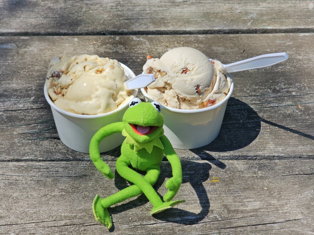 K19 by eDorre · 365 Project