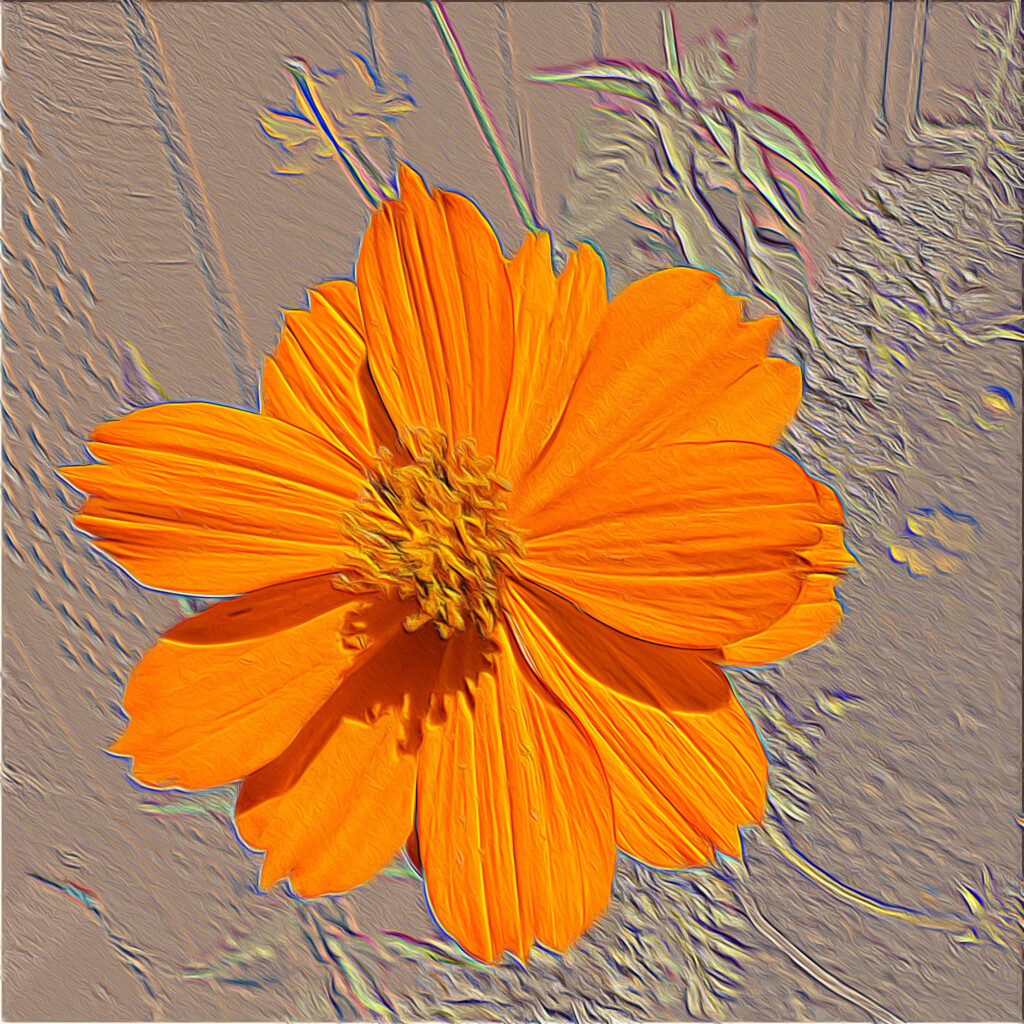 IColorama Class #5 by Shutterbug · 365 Project