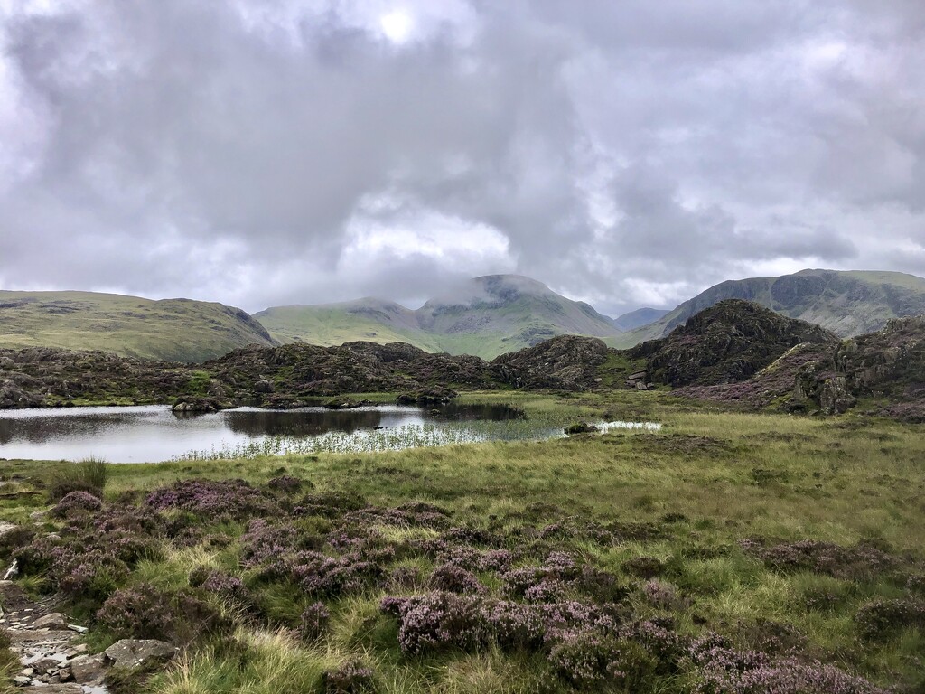 Innominate Tarn by Casablanca 🇬🇧 · 365 Project