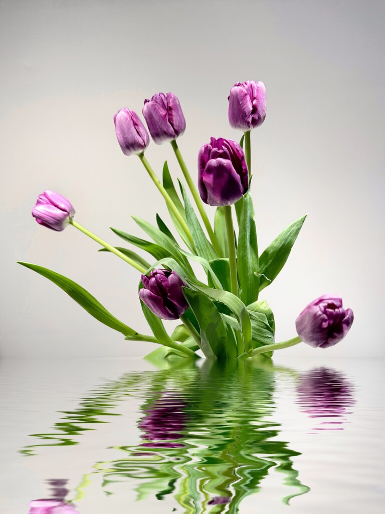 Tweaked with Reflect App by Shutterbug · 365 Project