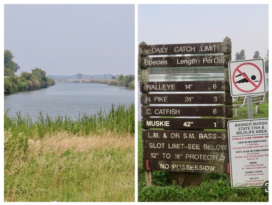 Banner Marsh, State Fish and Wildlife Area. by Dorothy · 365 Project