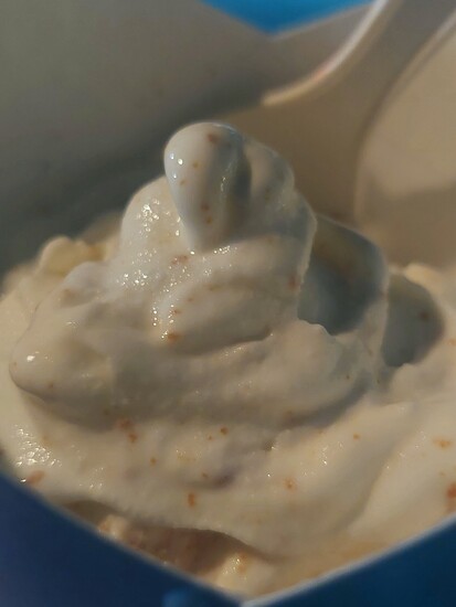 Vanilla Ice Cream... with Biscoff! by Jessica Eby · 365 Project