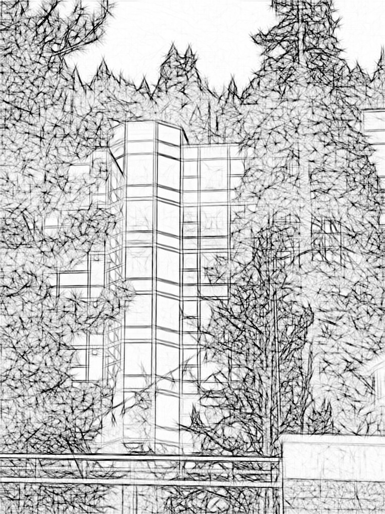 Lines by Shutterbug · 365 Project