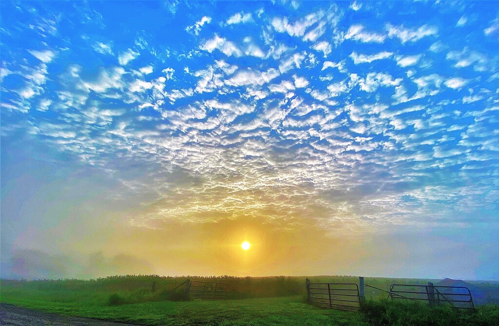 Good Morning by *lynn · 365 Project