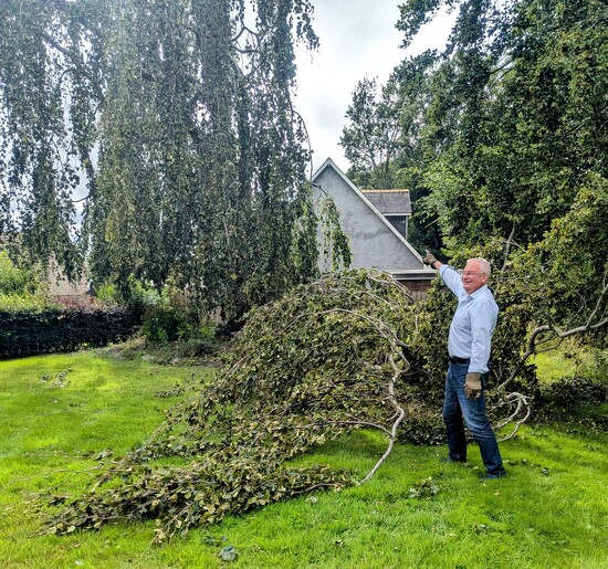 The work of Storm Floris by Sarah Bremner · 365 Project