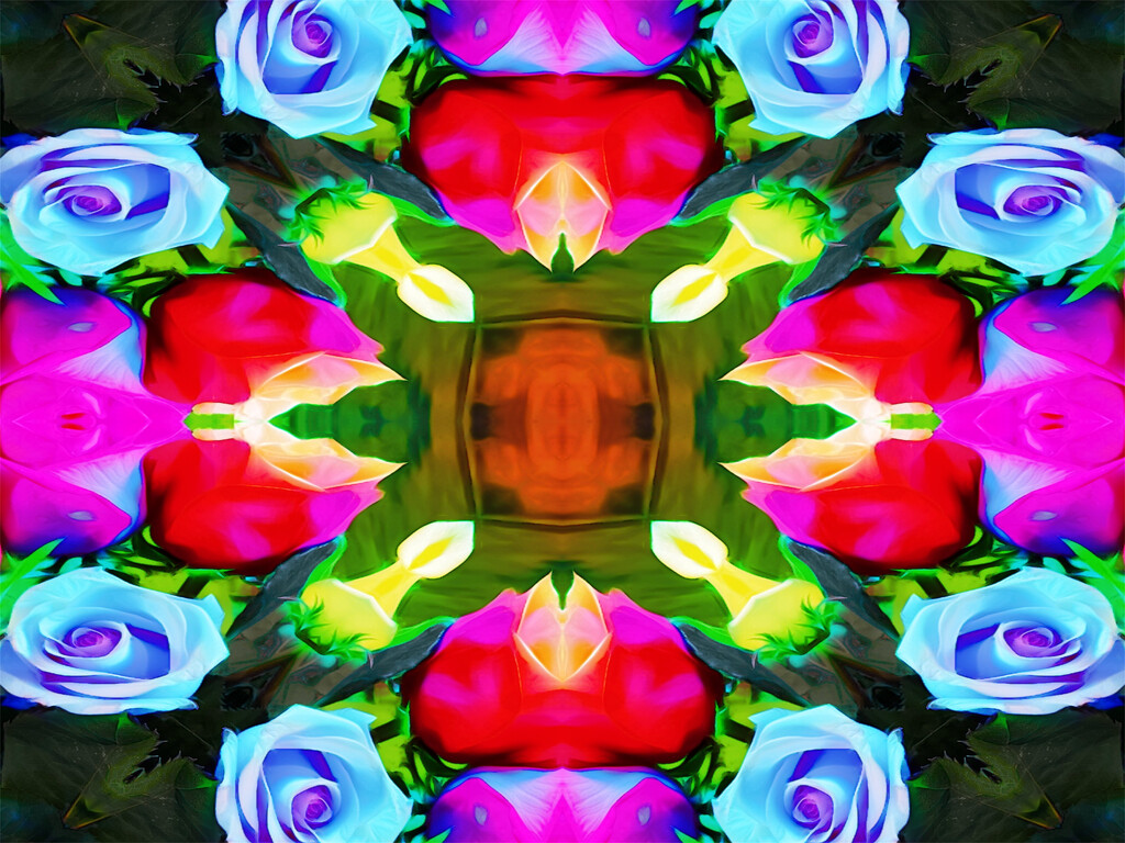 Kaleidoscope by Shutterbug · 365 Project