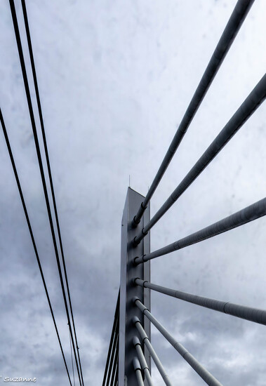 Sydney Rail Transport 3: Rouse Hill Bridge by Suzanne · 365 Project
