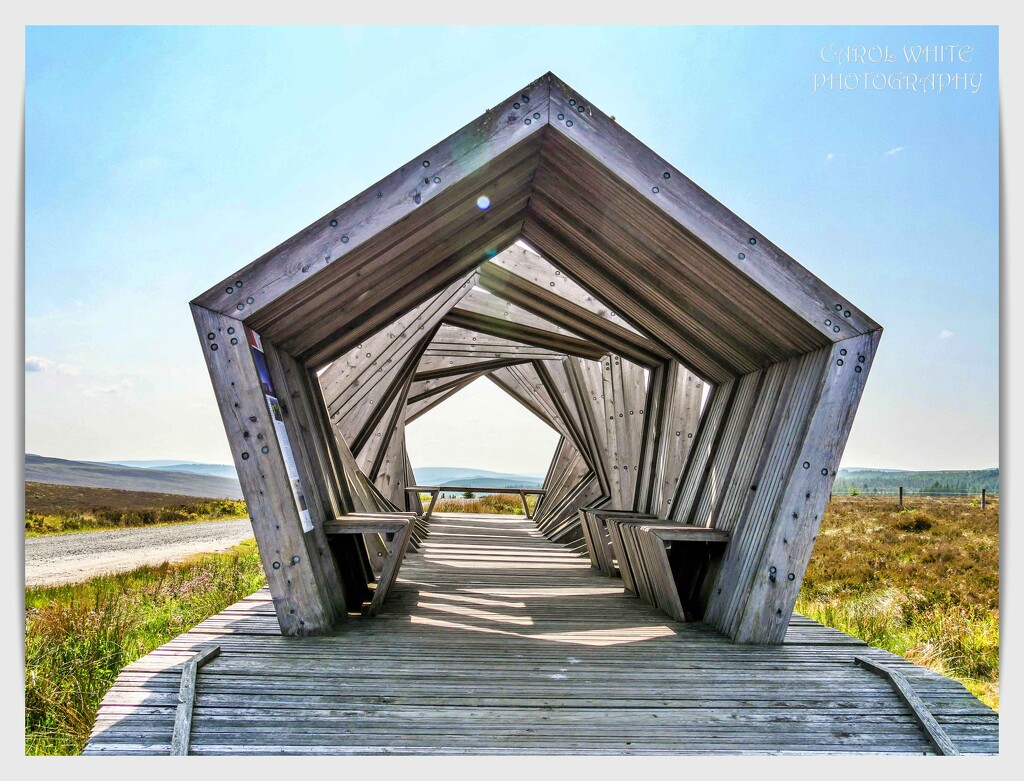 Blakehope Nick,Kielder Forest Drive by carol white · 365 Project