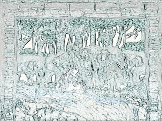 Edges by Shutterbug · 365 Project