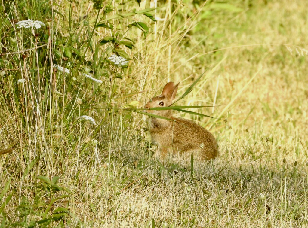 12august by amyK · 365 Project