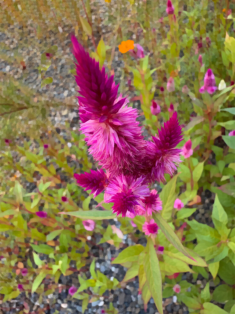 Texture by Shutterbug · 365 Project