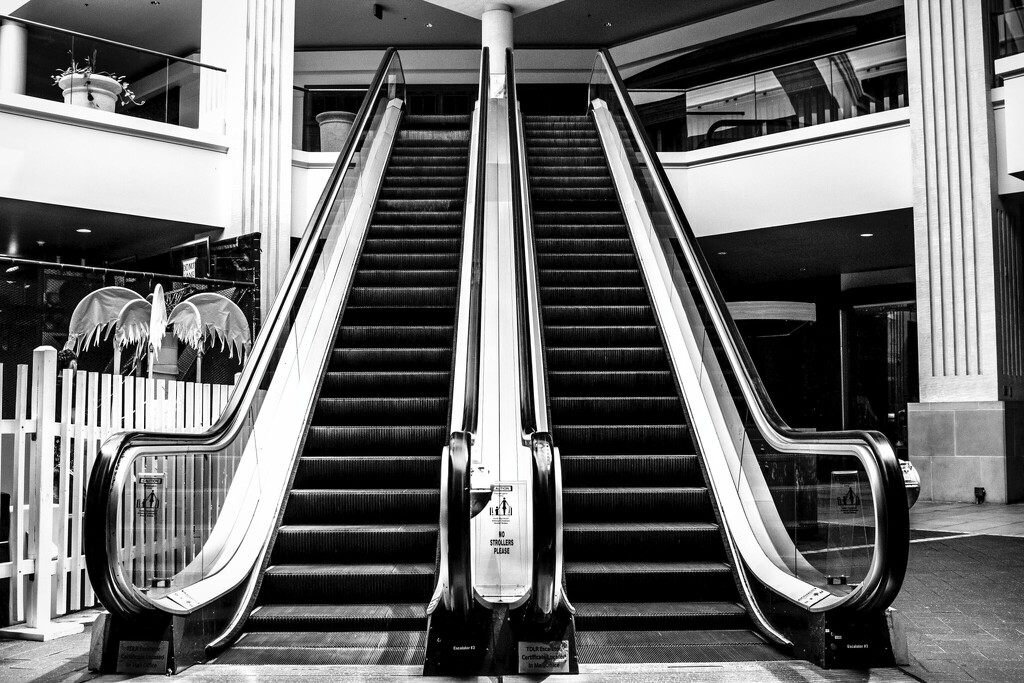 Escalators by JudyC · 365 Project