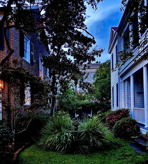 Charleston garden, early evening by John · 365 Project