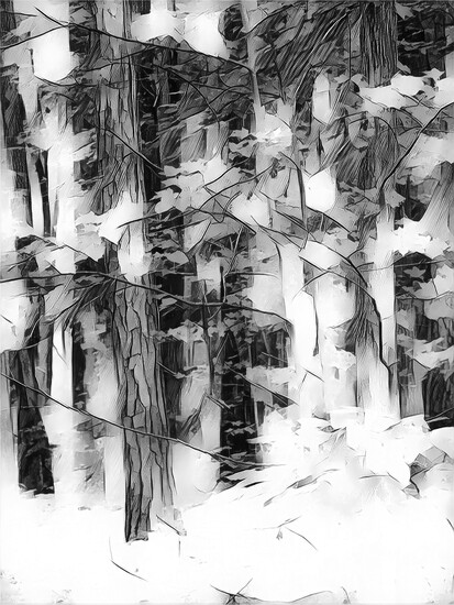 Sketchy trees... by Mags · 365 Project