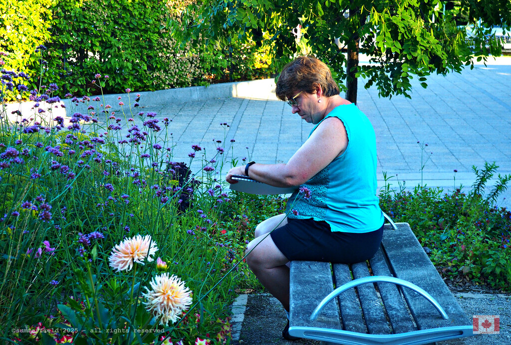 do not disturb, artist at work by summerfield · 365 Project