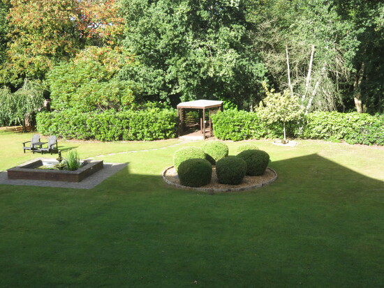 Room with a (garden) view by Felicity Macdonald-Smith · 365 Project