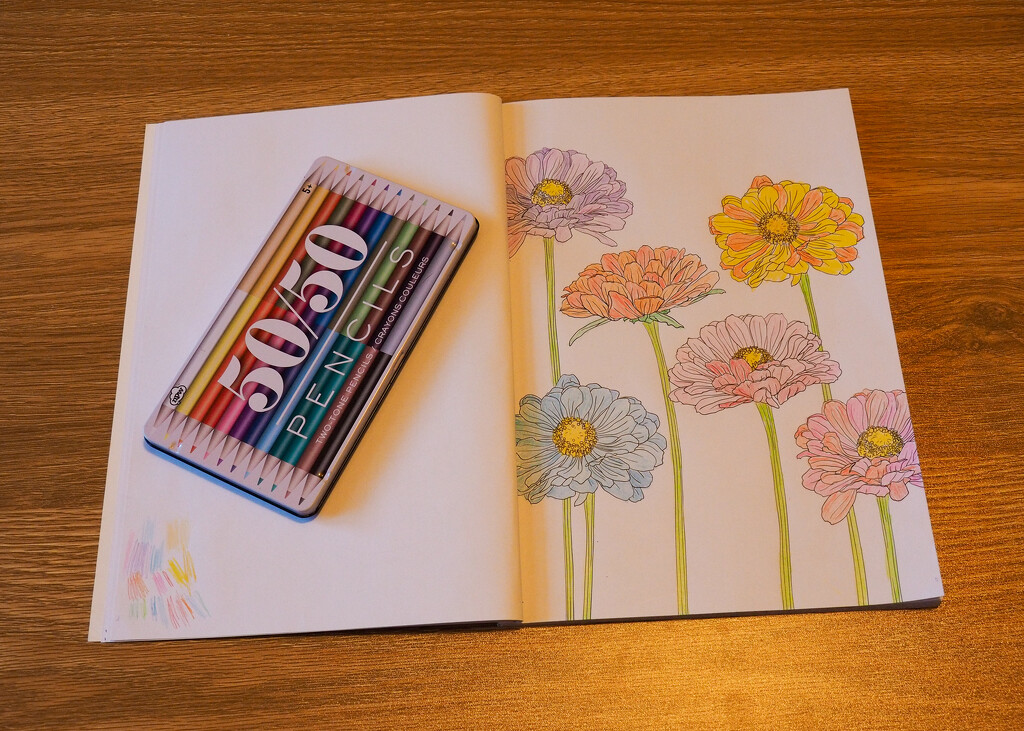 Colouring-in, it's not just for kids. by Alison · 365 Project