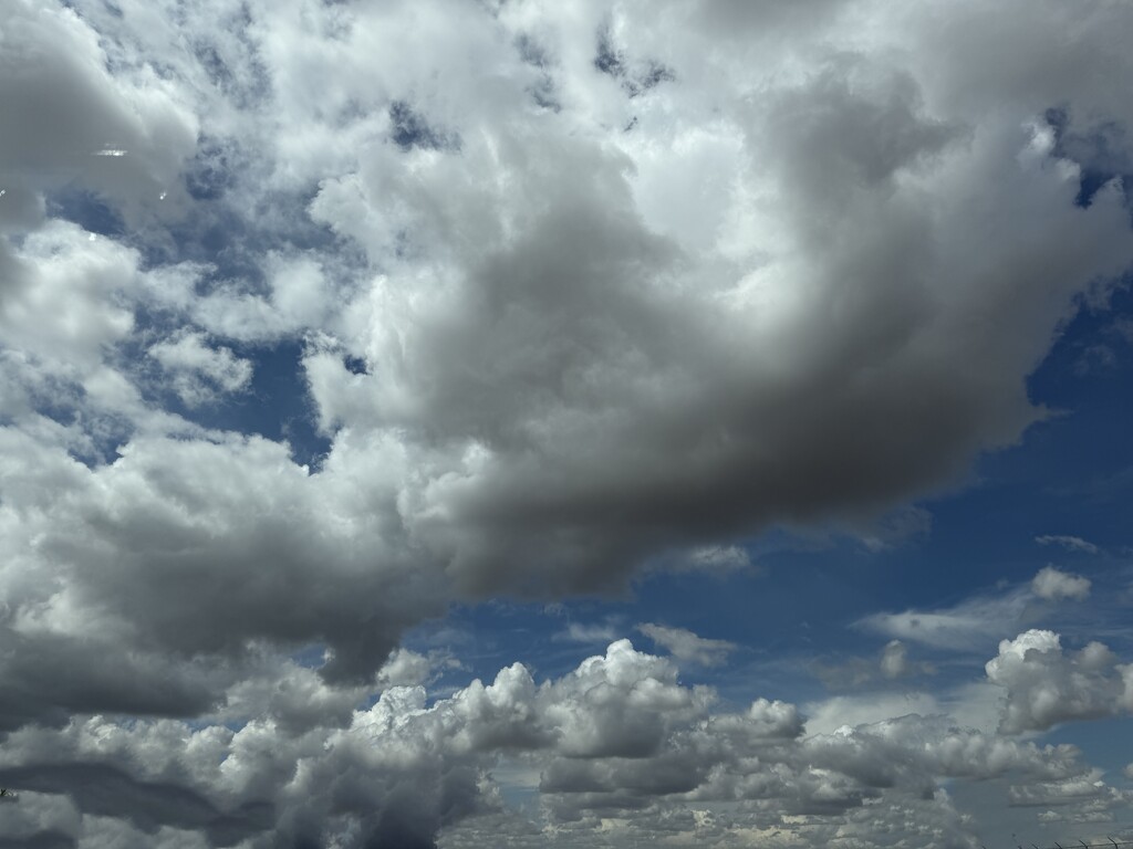 Dramatic Sky Today by Shutterbug · 365 Project