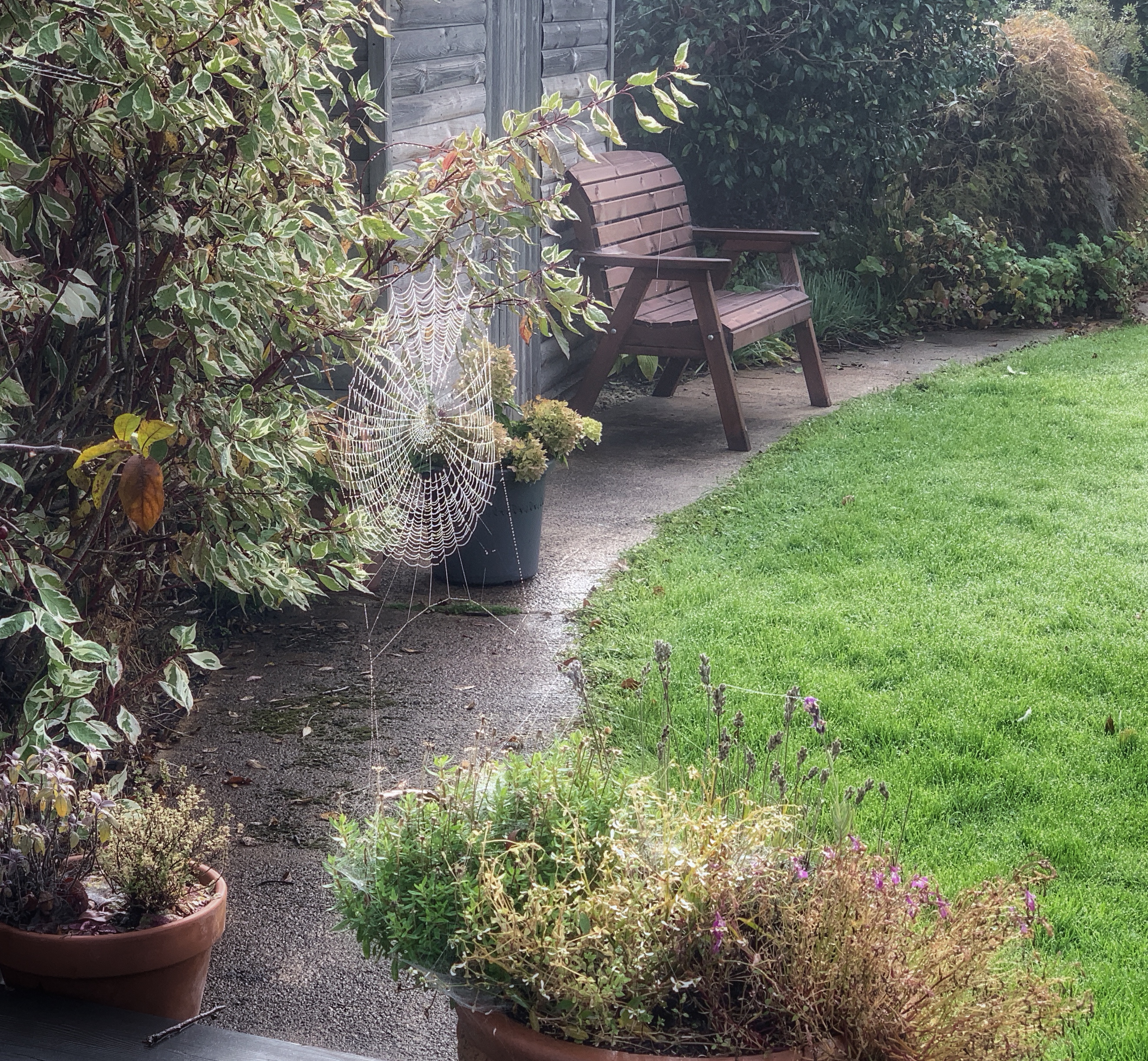 Natures art by Pat Knowles · 365 Project