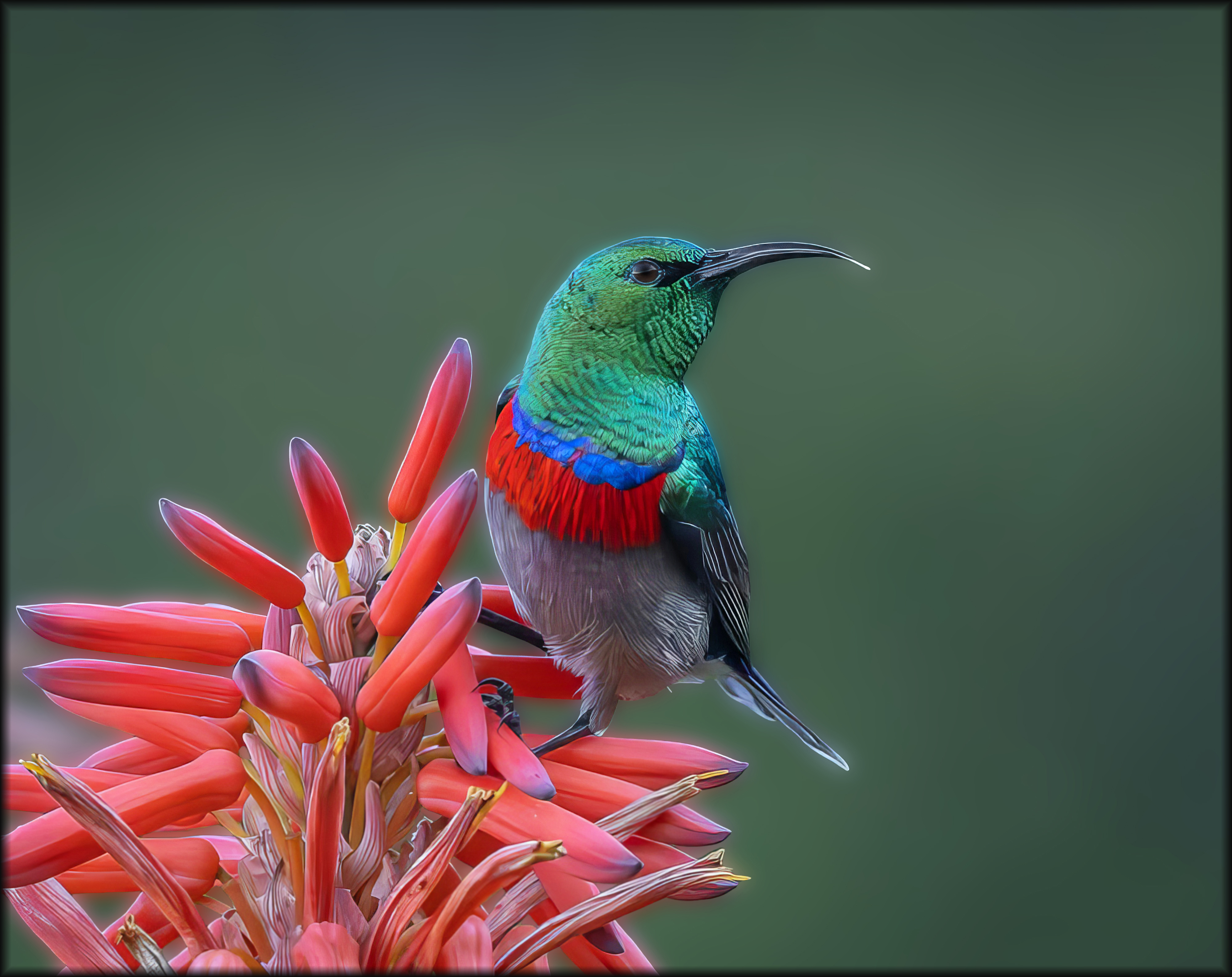 He seems ready to move on by Diana · 365 Project