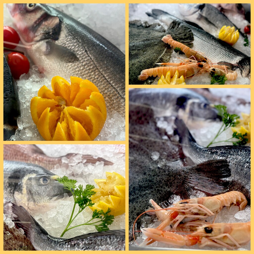 Seafood Special, Dubrovnik by Renee Salamon · 365 Project