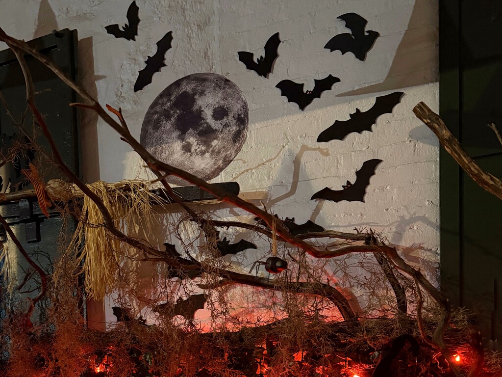 Another Halloween Decoration by Shutterbug · 365 Project
