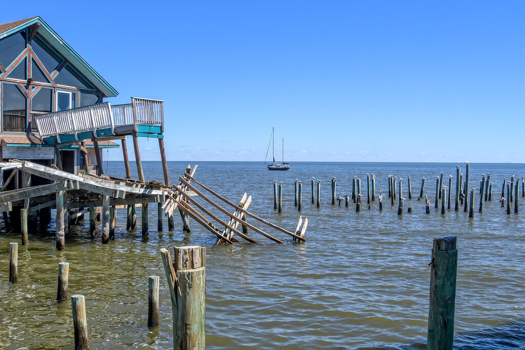 Cedar Key by Danette Thompson · 365 Project