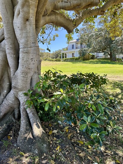 Strickland Estate by Kate A 🇦🇺 · 365 Project