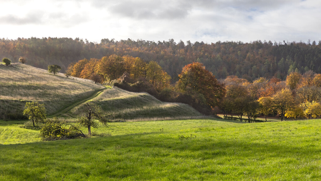Sunny autumn morning in England by Alison Hewitt Bailey · 365 Project