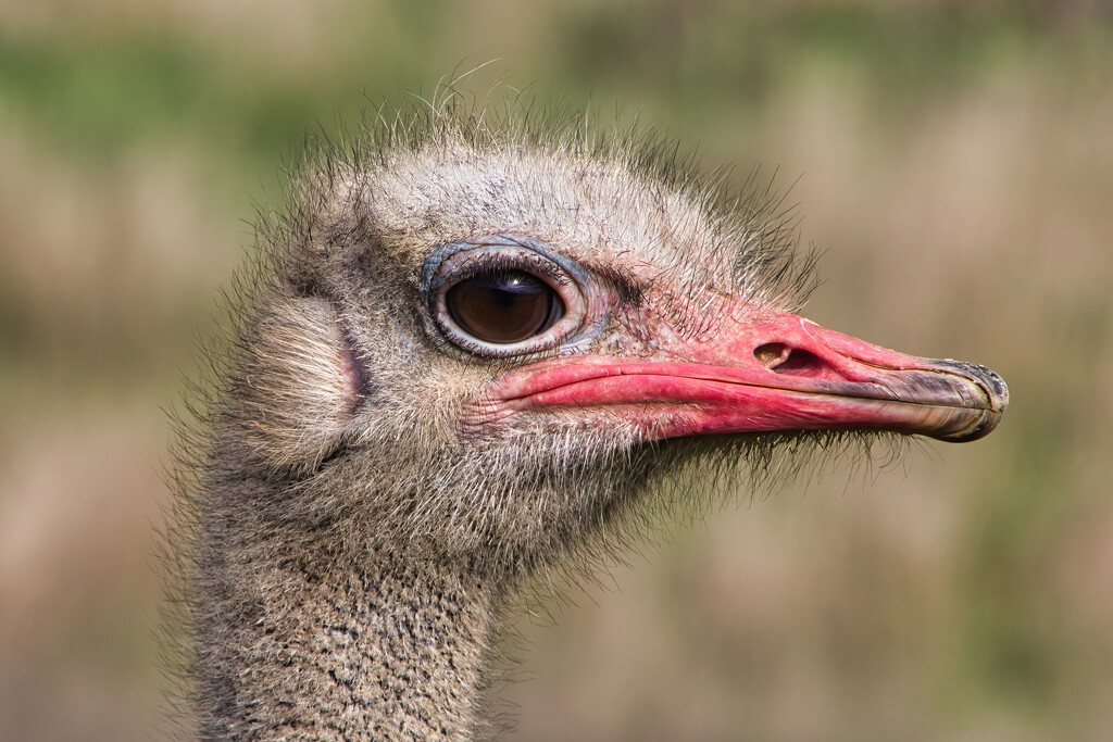 My best side by George · 365 Project