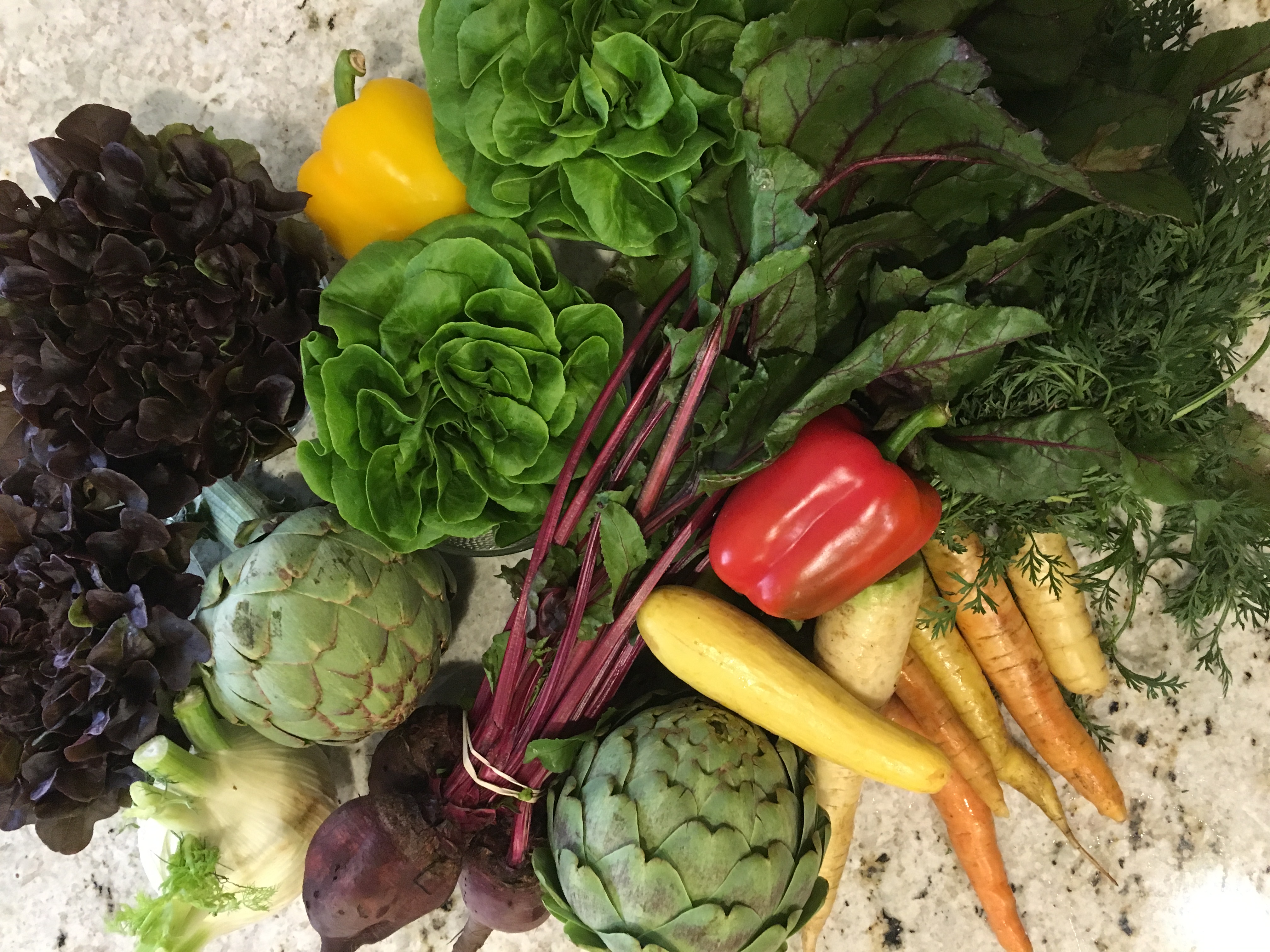 Flatlay of Veggies by Shutterbug · 365 Project