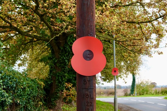 RBL Poppies by Carole Sandford · 365 Project