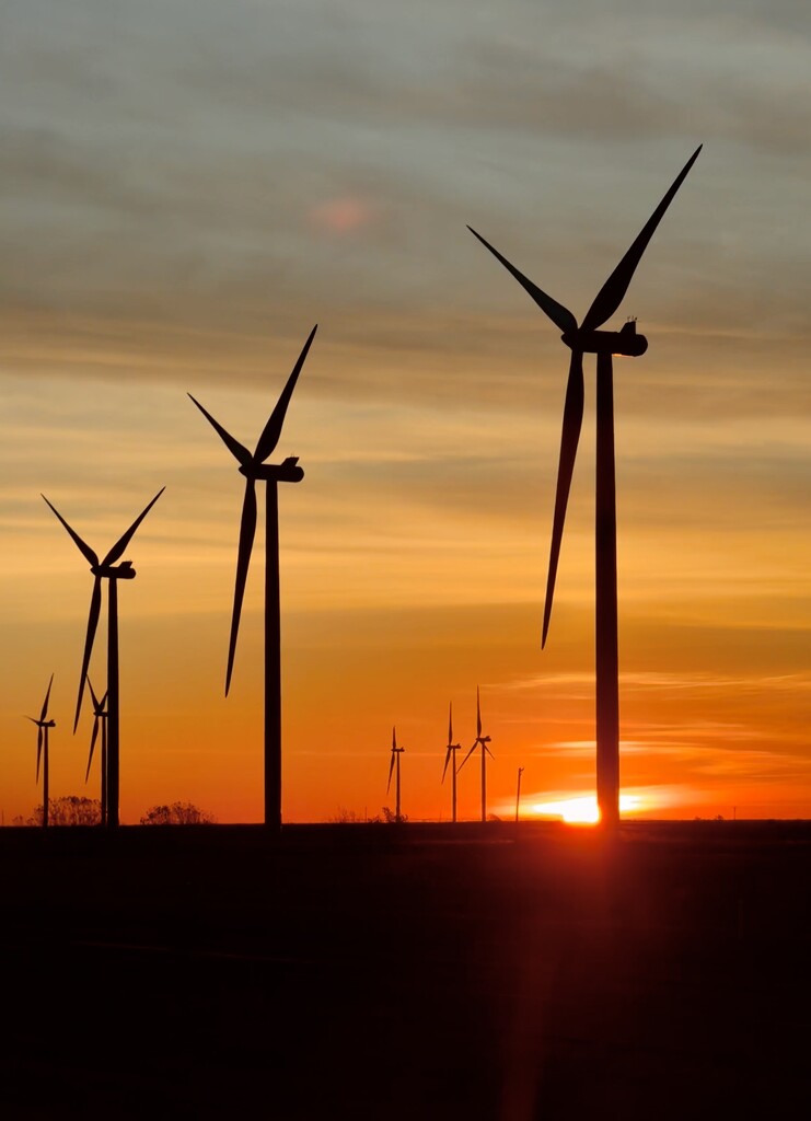 Texas Turbines by KV · 365 Project