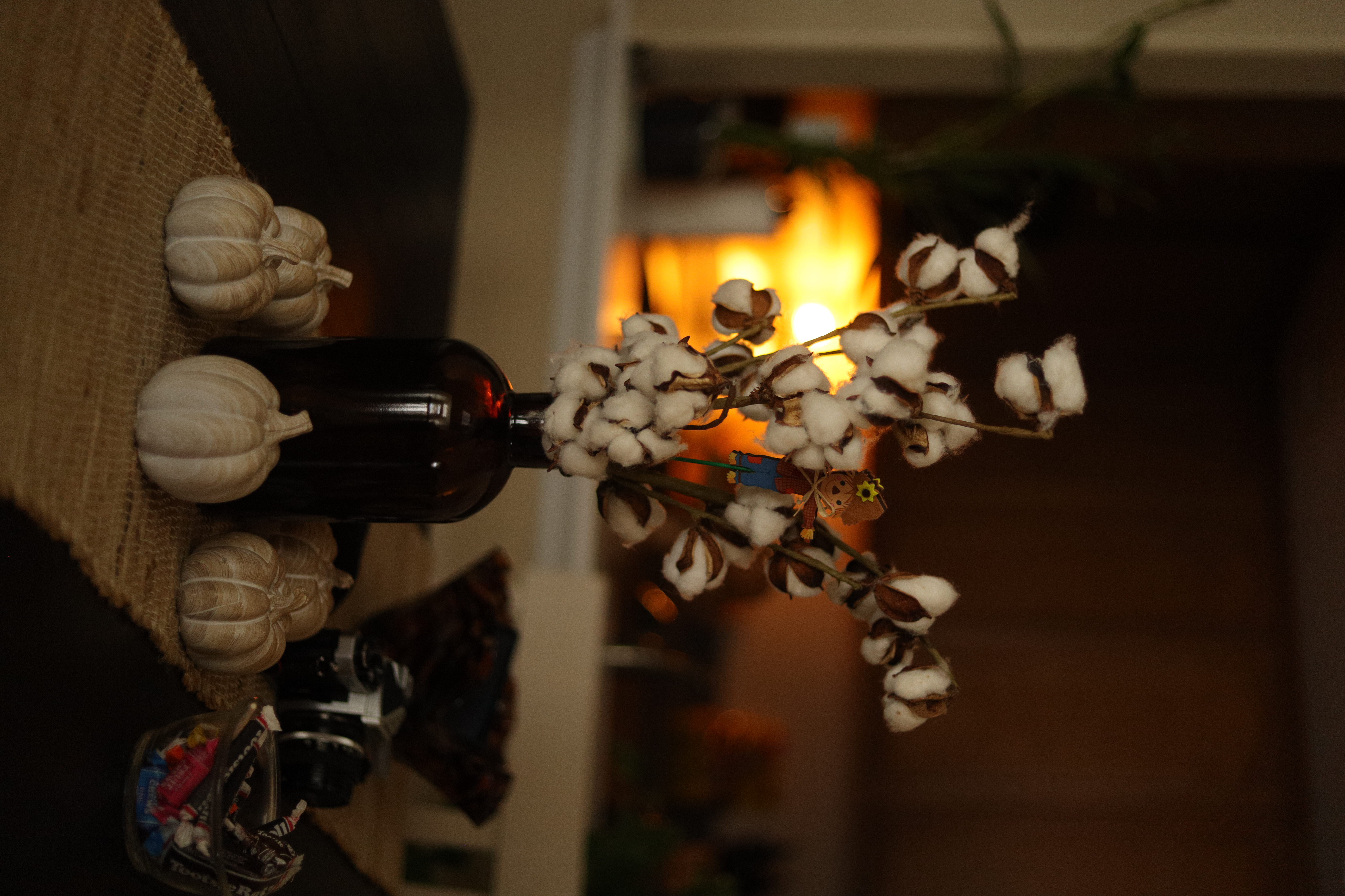 Time for Christmas decor by Mark St Clair · 365 Project