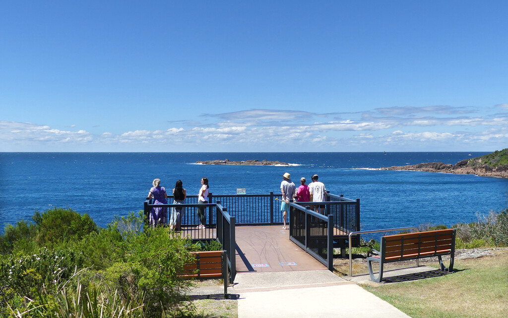 Barry Park Lookout by Babs · 365 Project