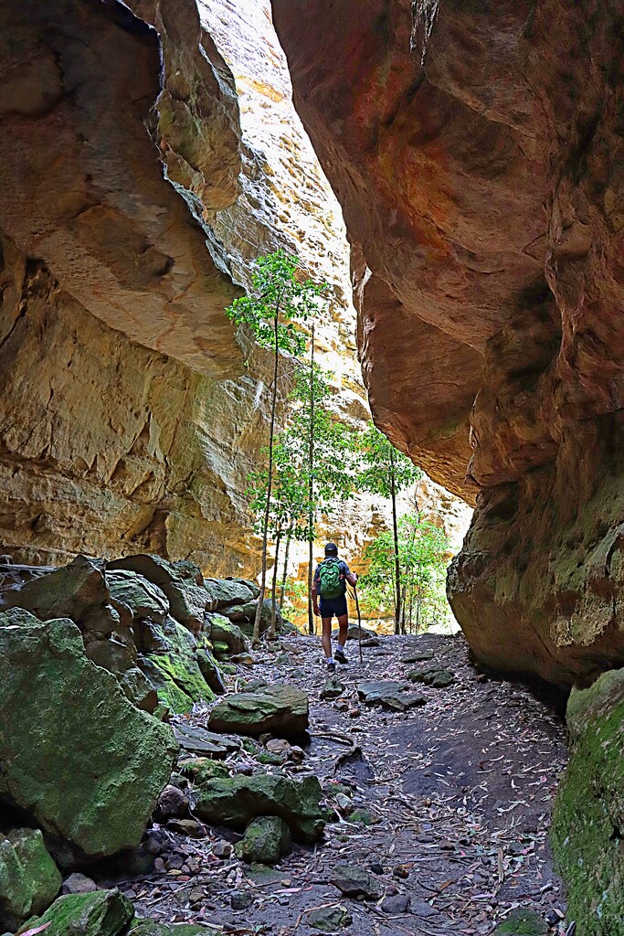 Dry Canyon by Linda E · 365 Project