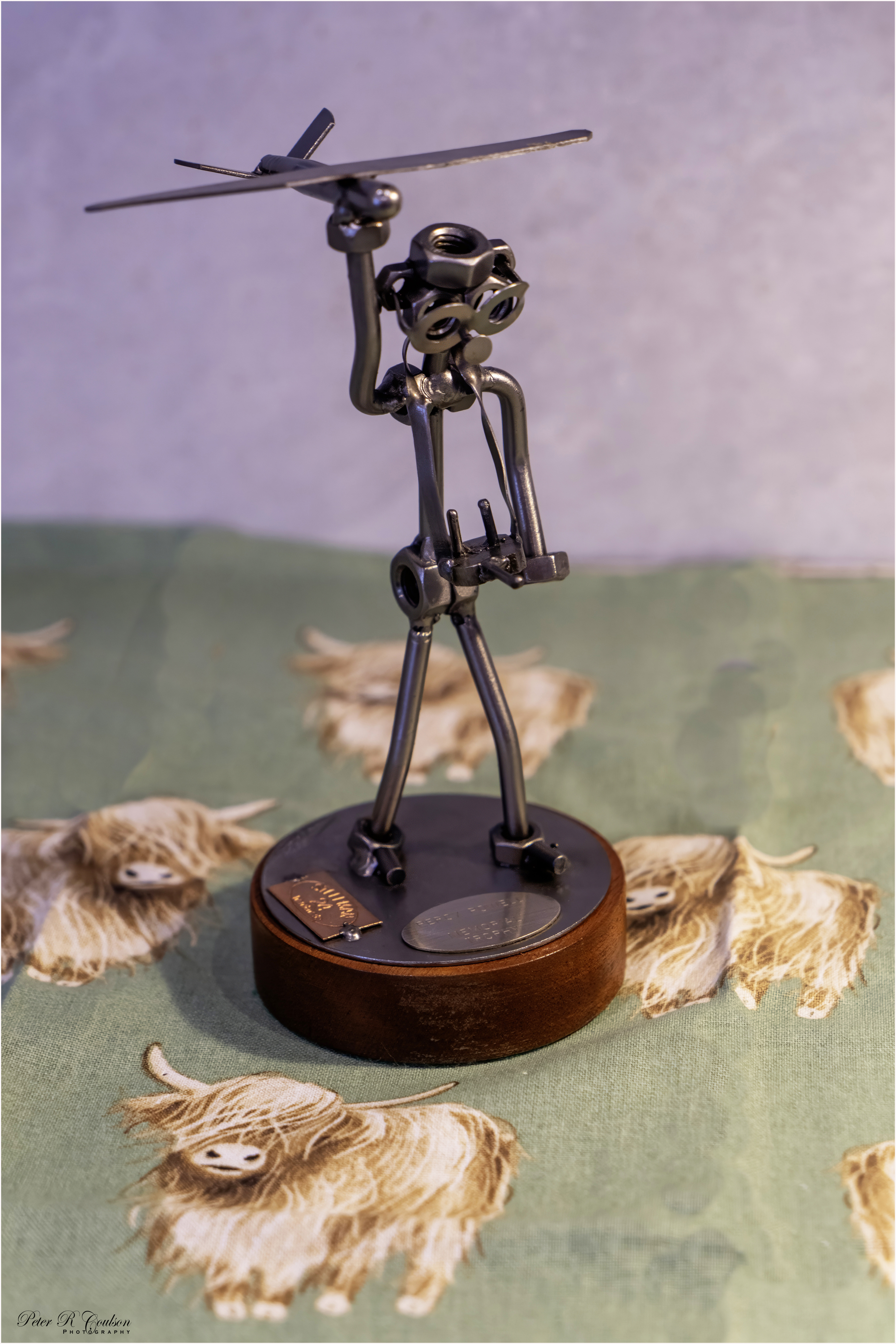 Glider Trophy by Peter · 365 Project