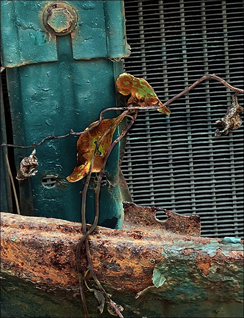 Nature Takes Over by Ann H. LeFevre · 365 Project