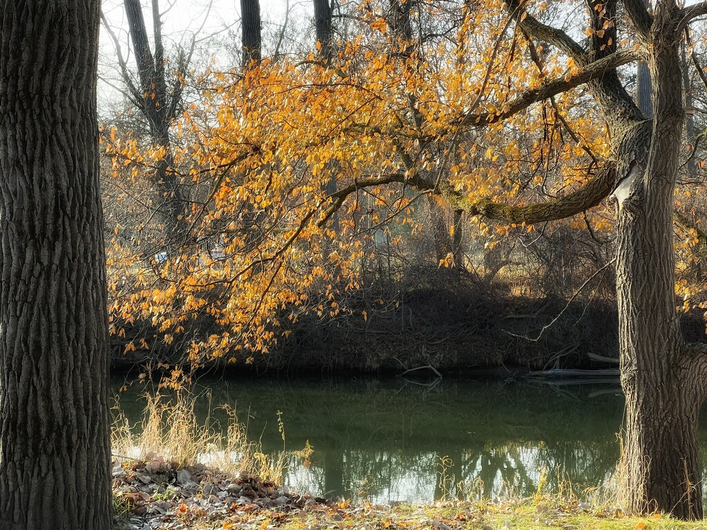 24november by amyK · 365 Project