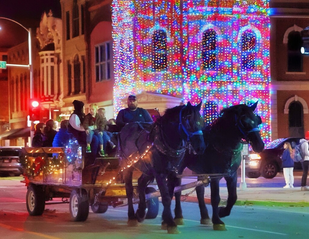 Turn on the Christmas Lights Celebration by *lynn · 365 Project