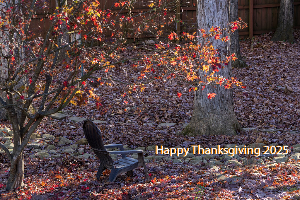 Happy Thanksgiving by KV · 365 Project