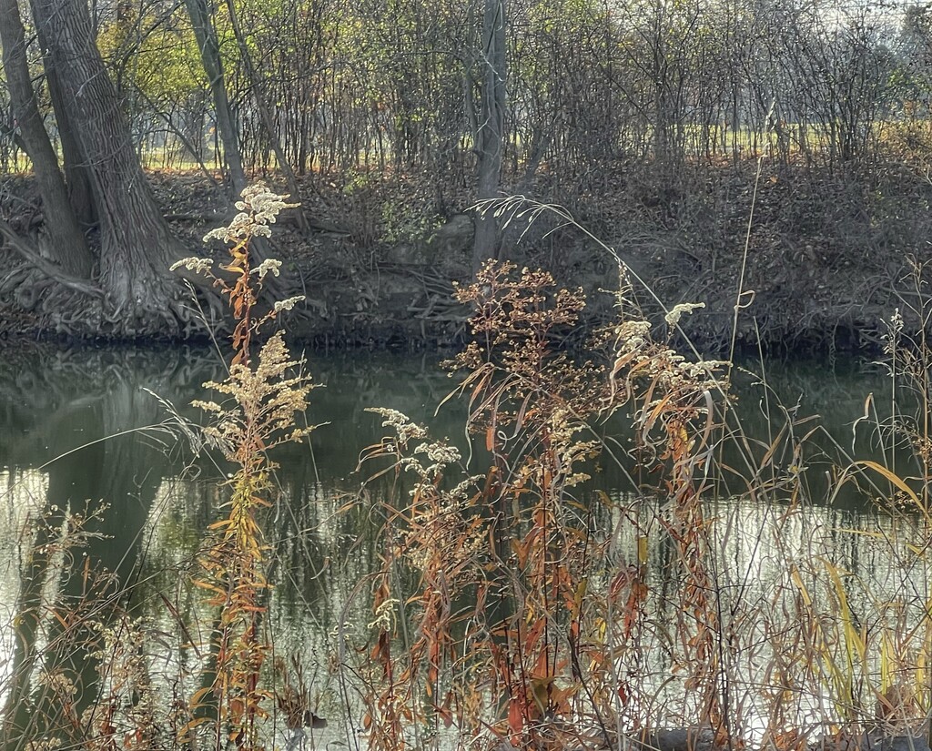27november by amyK · 365 Project