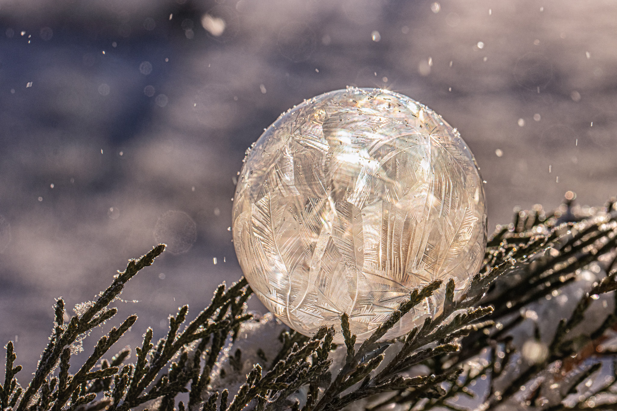 frosty bubble by April · 365 Project