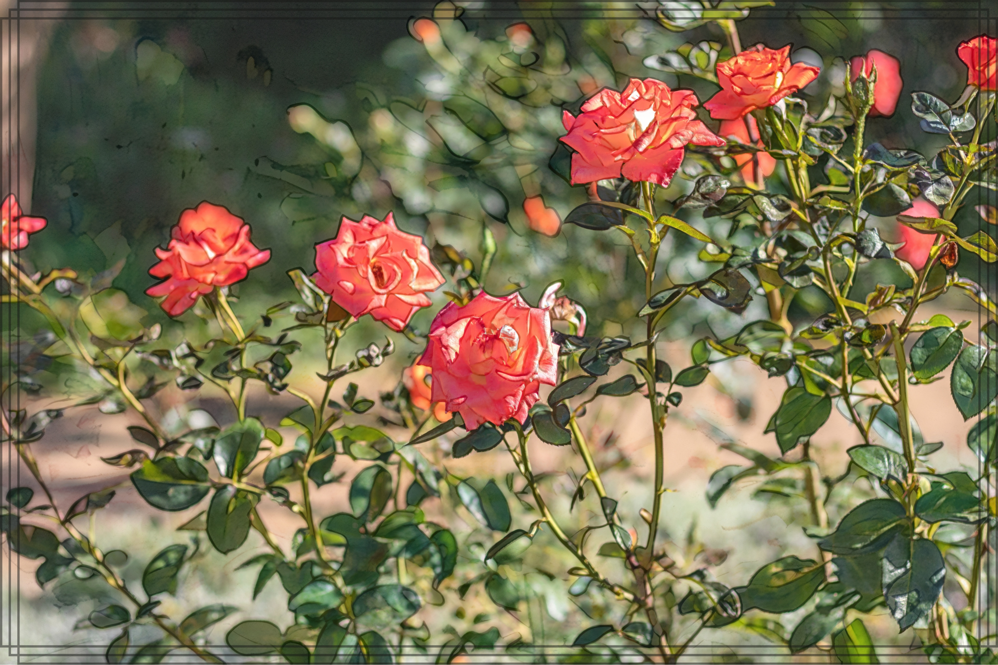an abundance of roses by Diana · 365 Project