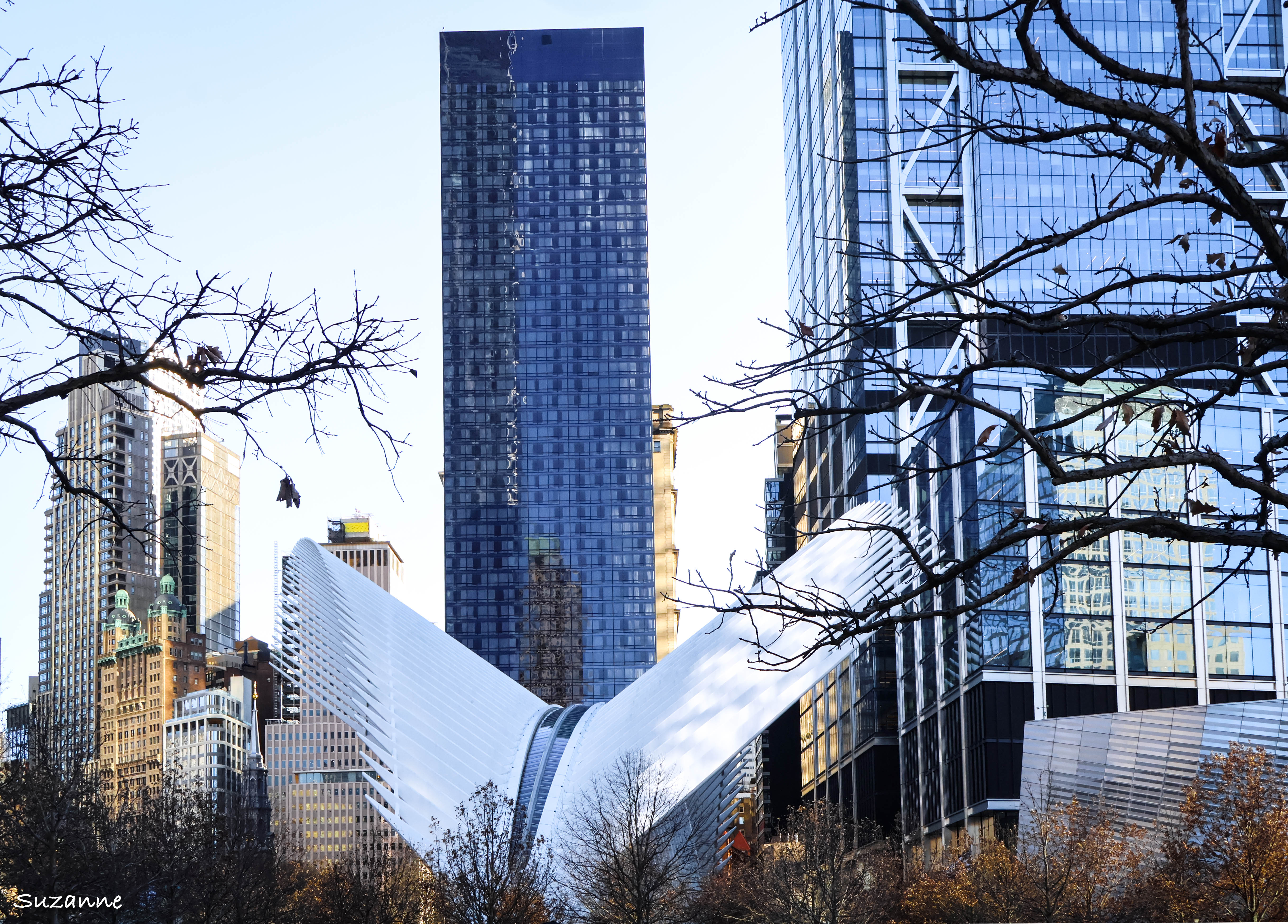 The Oculus, New York by Suzanne · 365 Project