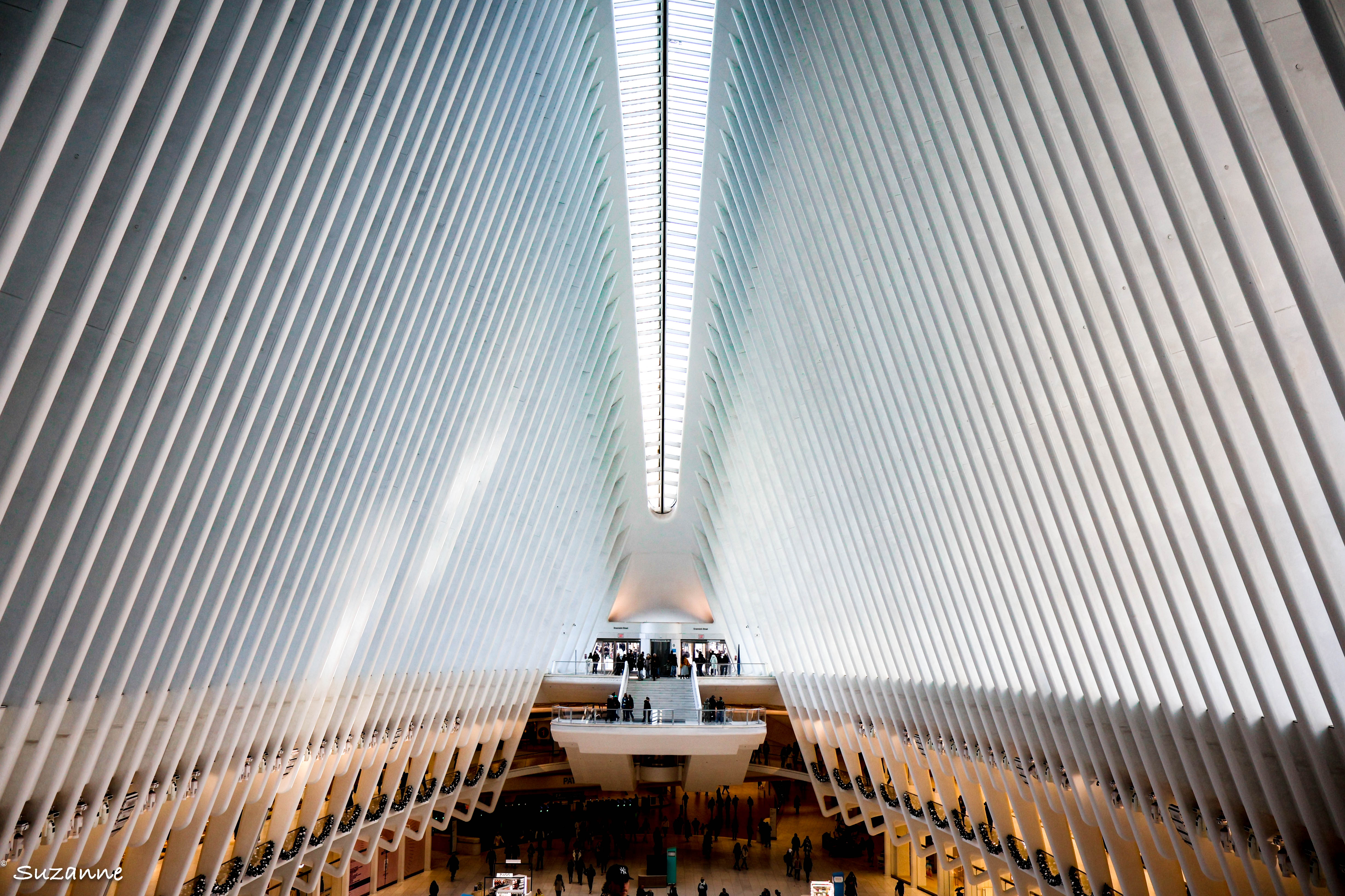Inside the Oculus by Suzanne · 365 Project