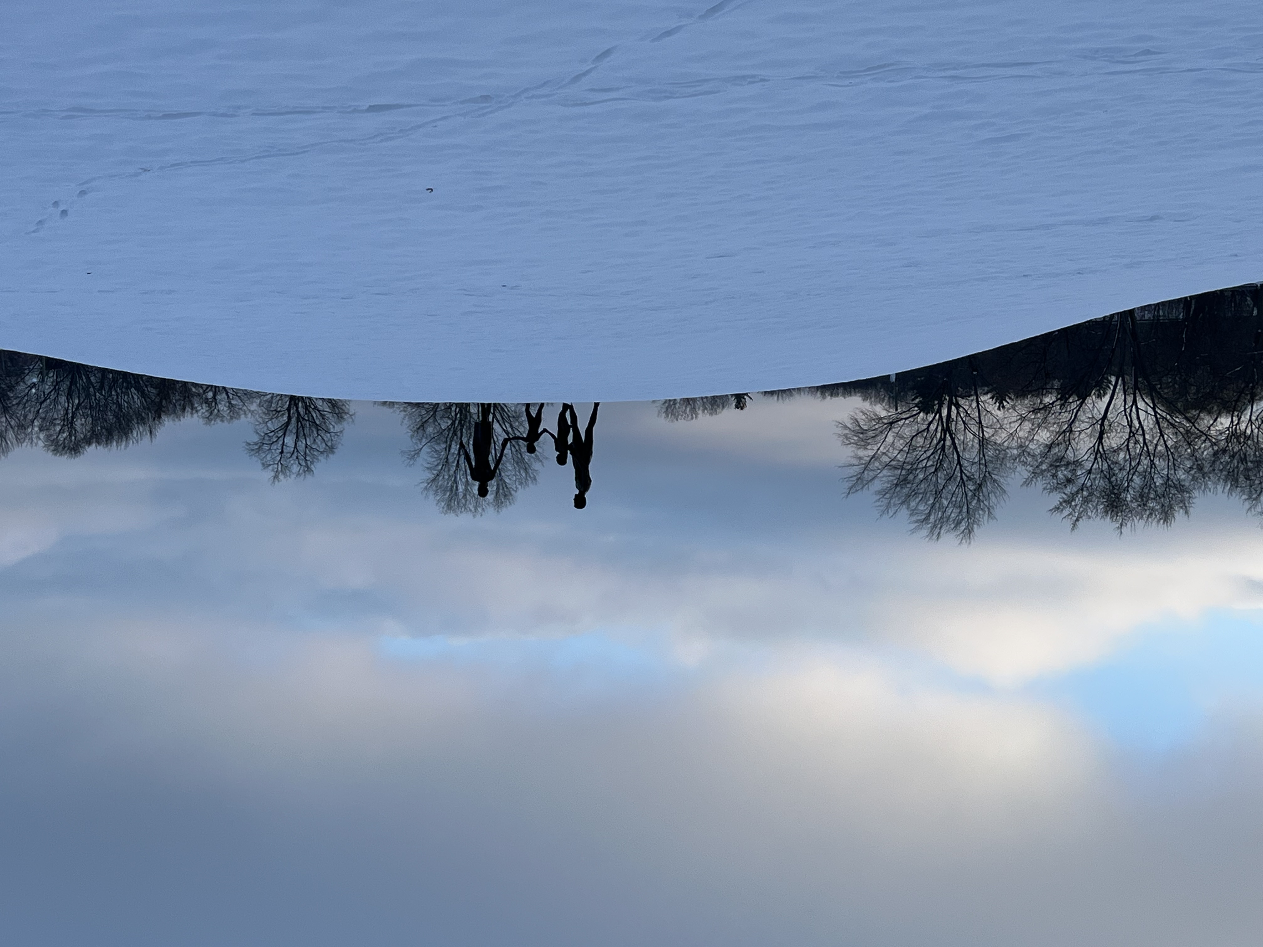 Week 49 by amyK · 365 Project